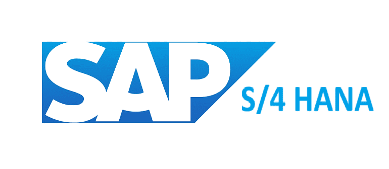 SAP ERP | Process Point: Rapid ERP Implementations
